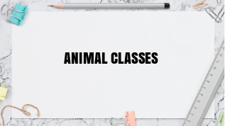 ANIMAL CLASSES at emaze Presentation