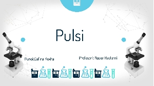 Pulsi at emaze Presentation
