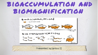 virtual school at emaze Presentation