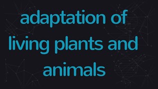 Adaptations and ecology at emaze Presentation