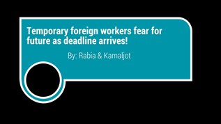 FOREIGN WORKERS BEING LAID oFF at emaze Presentation