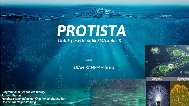 protista at emaze Presentation
