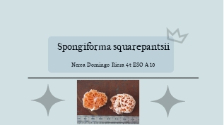 Spongiforma squarepantsii at emaze Presentation