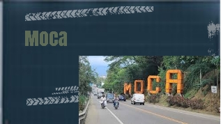 Moca at emaze Presentation