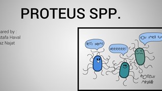 micro proteus.pptx at emaze Presentation