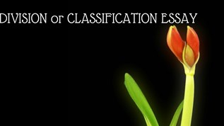 division classification.pptx at emaze Presentation