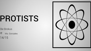 Protist Project at emaze Presentation