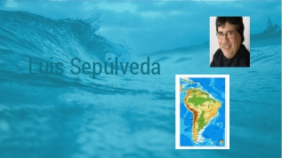 "História de uma Gaivota e do Gato que a ensinou a voar" at emaze ...