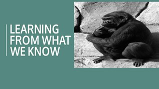Learning From What We Know at emaze Presentation