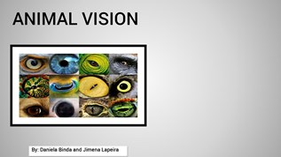 animal vision at emaze Presentation