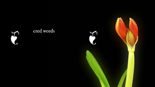 cred words at emaze Presentation