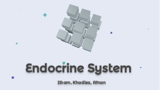 Endocrine System at emaze Presentation