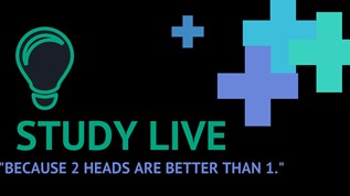 STUDY LIVE at emaze Presentation