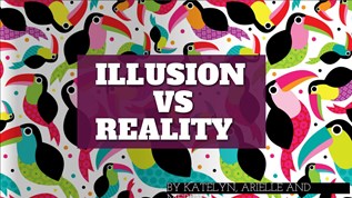 Illusion Vs. Reality at emaze Presentation