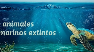 animales marinos extintos at emaze Presentation