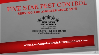 Emergency Pest Control Los Angeles, CA at emaze Presentation