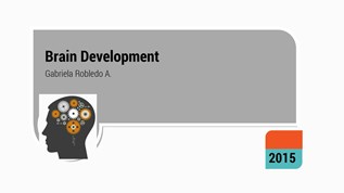 Brain development at emaze Presentation