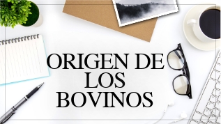 ORIGEN DE LOS BOVINOS at emaze Presentation