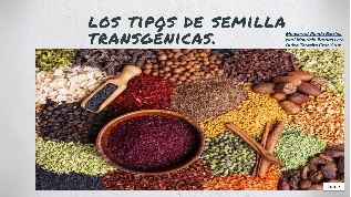 los tipos de semilla transgénicas. at emaze Presentation