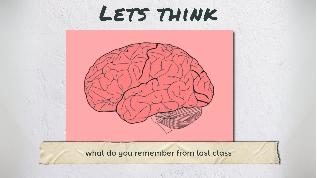 The brain at emaze Presentation