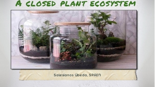 A closed plant ecosystem at emaze Presentation