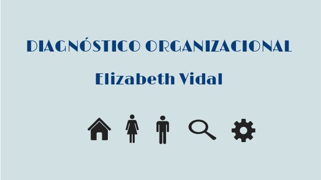 DIAGNÓSTICO ORGANIZACIONALElizabeth Vidal at emaze Presentation