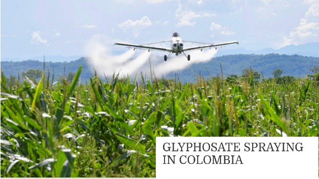Breaking News Glyphosate Spraying in Colombia at emaze Presentation