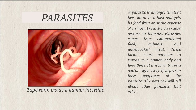 Parasite at emaze Presentation
