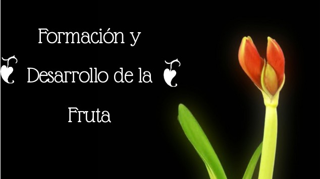 Formación y Desarrollo de la Fruta at emaze Presentation