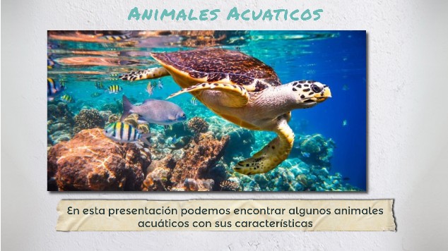 Animales Acuaticos at emaze Presentation
