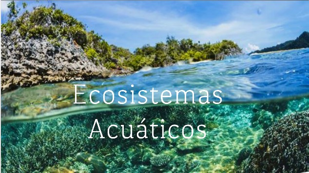 Ecosistemas Acuaticos at emaze Presentation