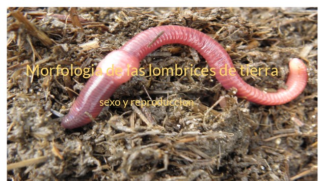 Blank at emaze Presentation