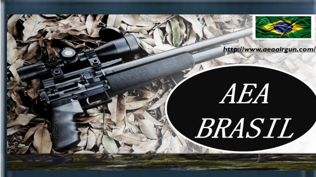 AEA PCP at emaze Presentation