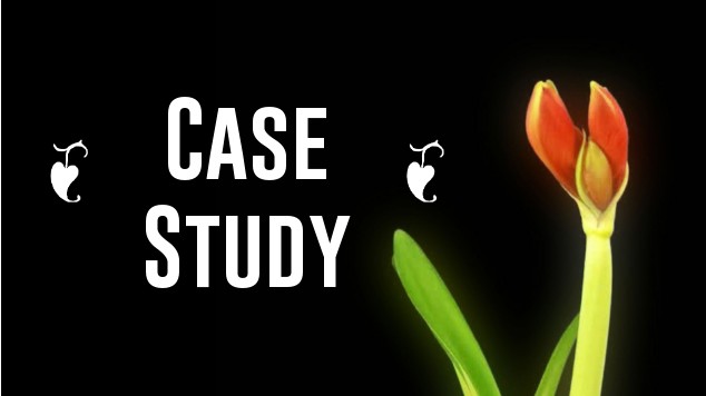 Case Study at emaze Presentation
