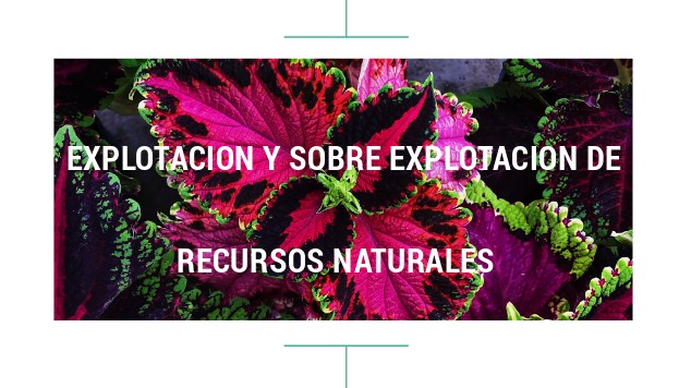 EXPLOTACION Y SOBRE EXPLOTACION DE RECURSDOS NATURALES at emaze ... EXPLOTACION Y SOBRE EXPLOTACION DE RECURSDOS NATURALES at emaze ...