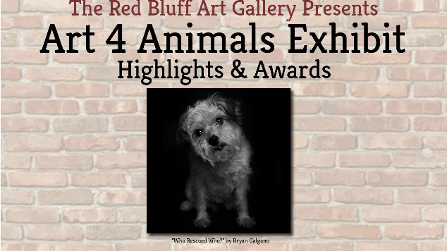 The Red Bluff Art Gallery at emaze Presentation