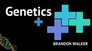 Genetics at emaze Presentation