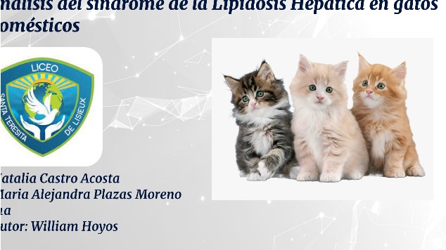 Lipidosis Hepatica en Felinos at emaze Presentation