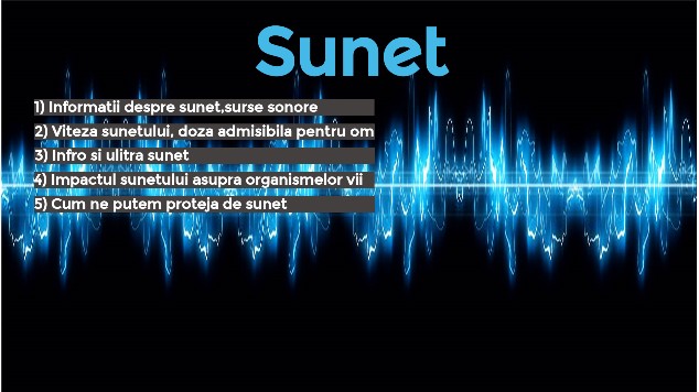 Proiect sunet at emaze Presentation