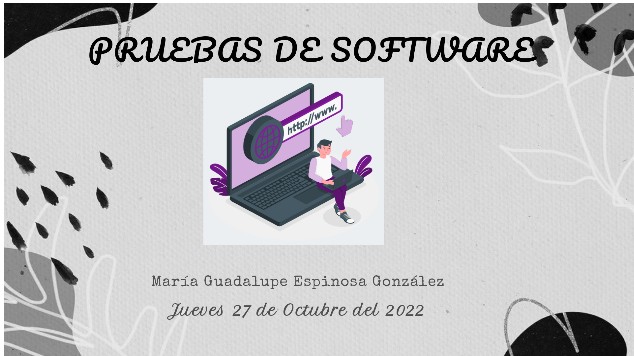 CLA11.PRUEBAS DE SOFTWARE at emaze Presentation