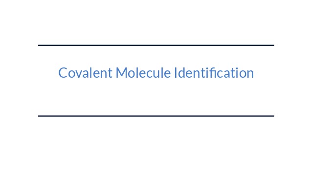 Covalent Molecule Identification at emaze Presentation