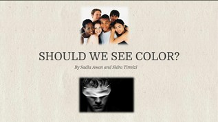 Should We See Color (3).pptx at emaze Presentation