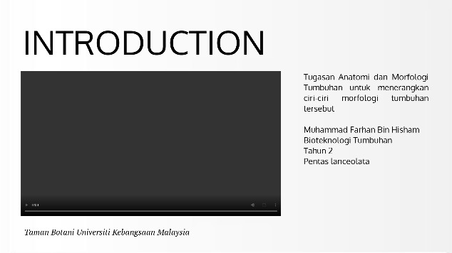 introduction at emaze Presentation