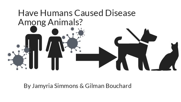 Have Humans Unintentionally bring diseases to native plants and animals ...