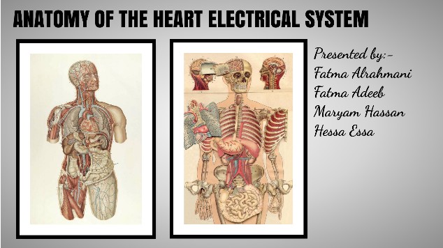 Anatomy of the heart electrical system at emaze Presentation