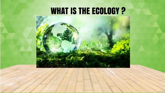 Eco System at emaze Presentation