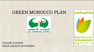 green plan copy1 at emaze Presentation