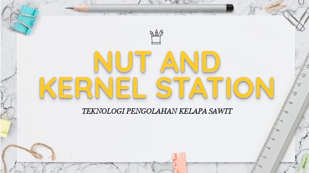 NUT AND KERNEL STATION at emaze Presentation