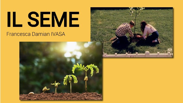 IL SEME at emaze Presentation