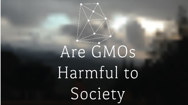 Are GMOs Harmful to Society at emaze Presentation